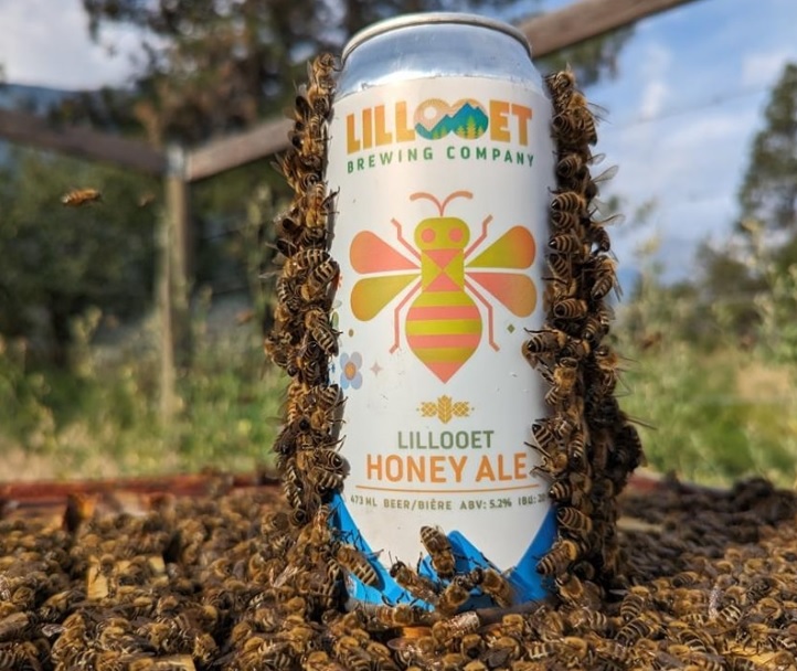 » Lillooet Brewing – Honey Ale Tall Can 4x 473ml